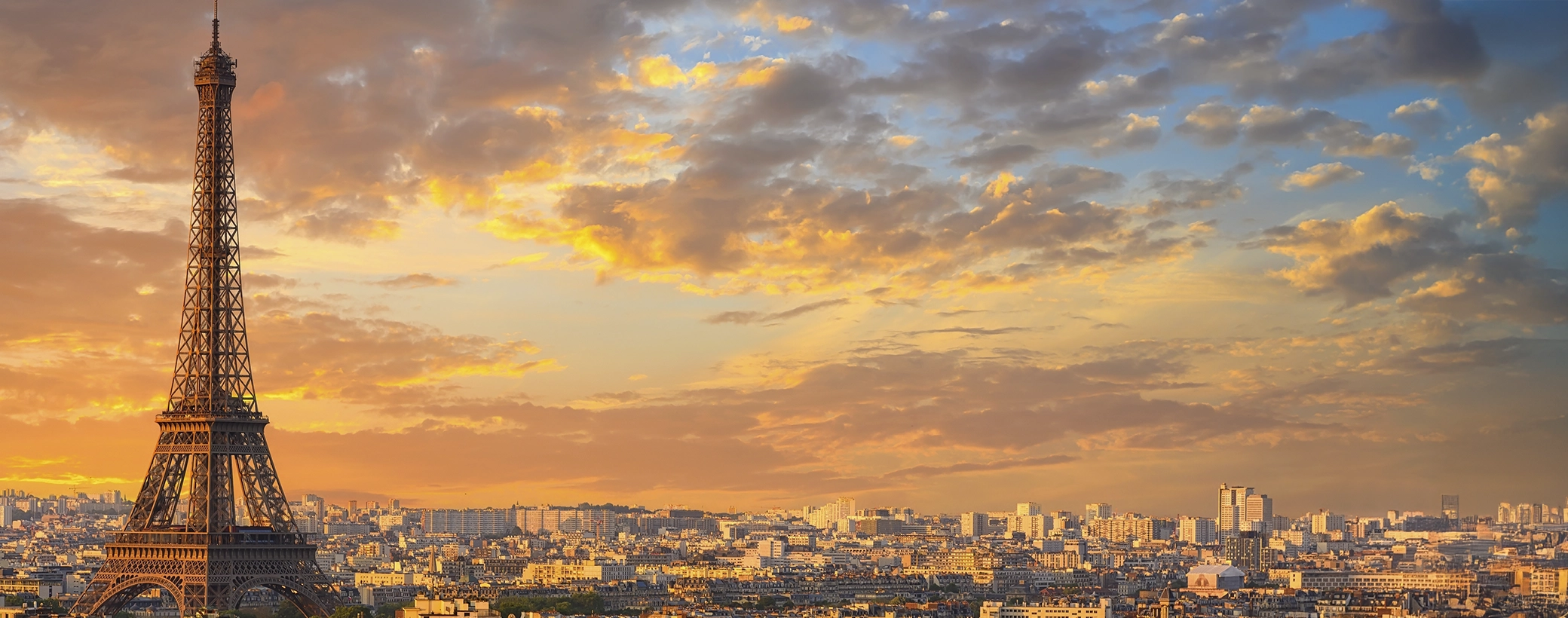 How to write a French Resume | ResumeCoach